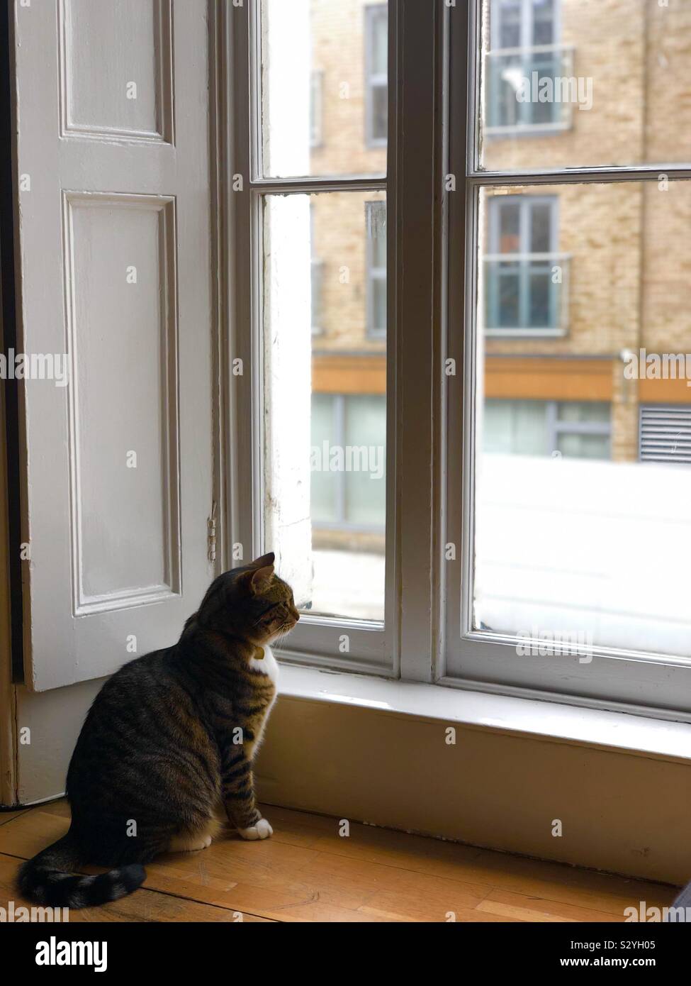 Cute poser hi-res stock photography and images - Alamy