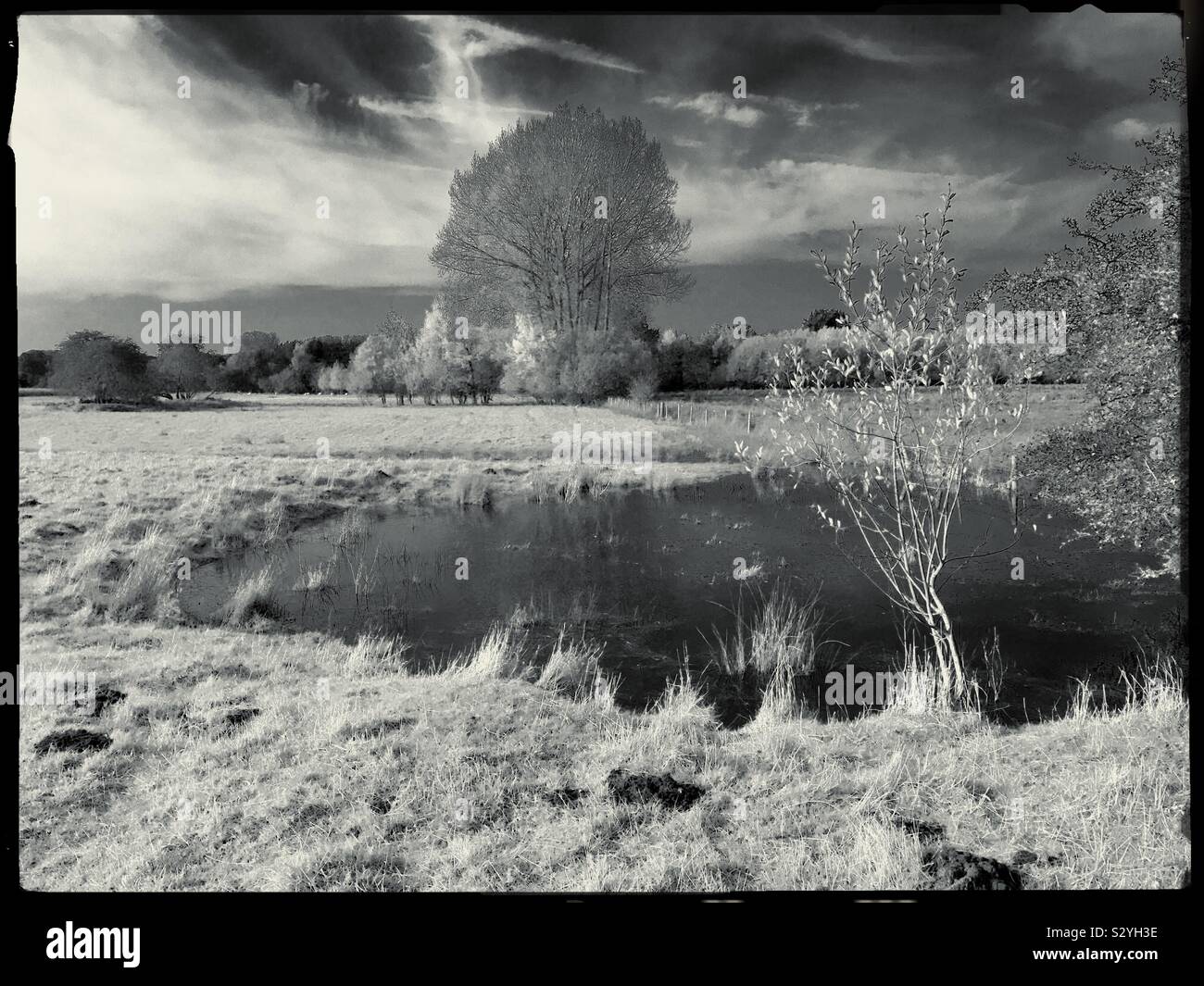 Pond in a meadow. Ancaster, Lincolnshire, UK Stock Photo - Alamy