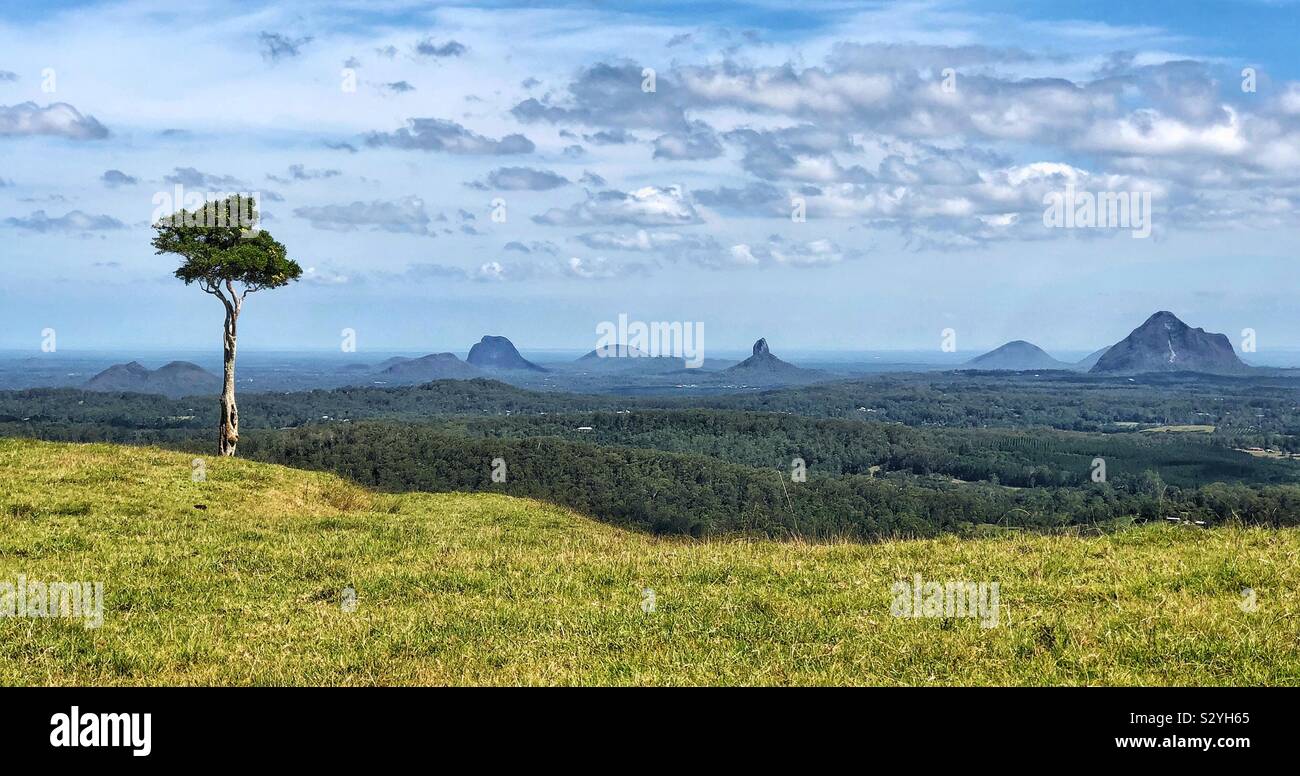 One Tree Hill, Lone Tree Hill, Maleny Stock Photo - Alamy