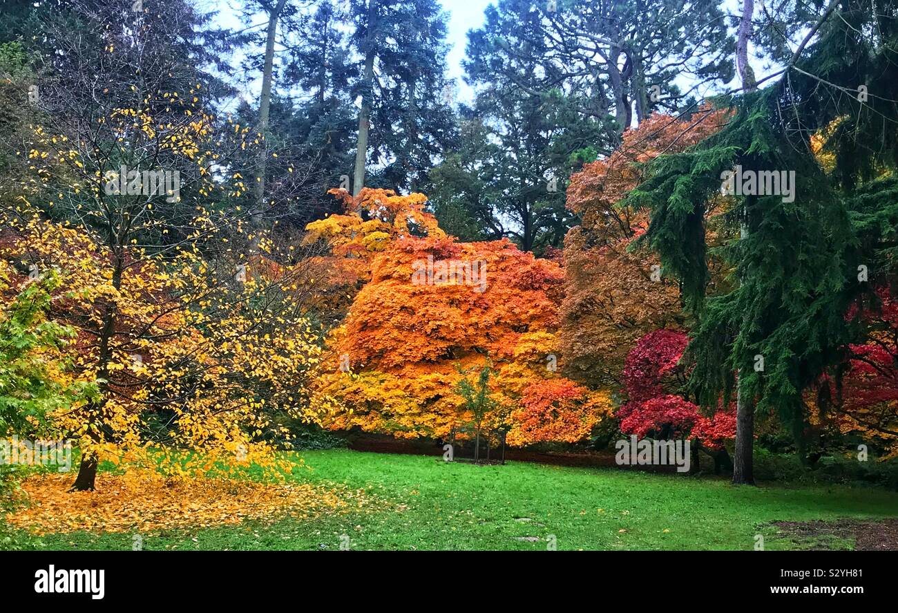 Arboretum of trees hi-res stock photography and images - Alamy