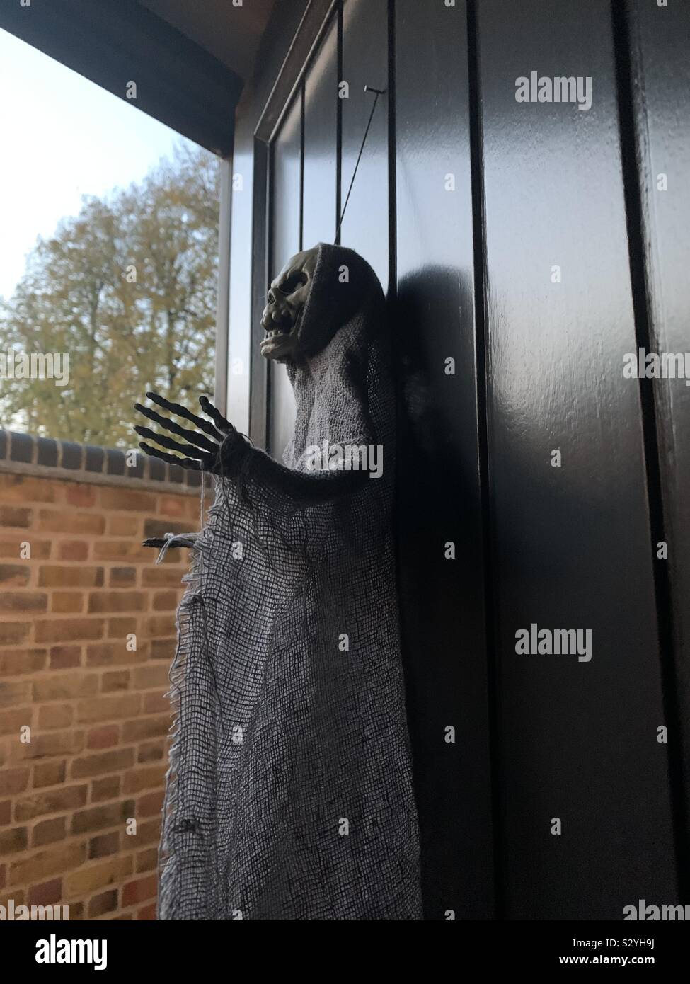 Welcome skeleton hi-res stock photography and images - Alamy