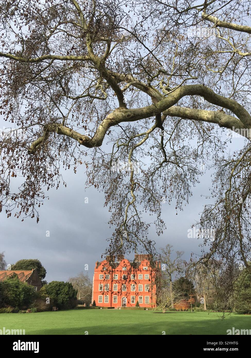 Kew gardens trees hi-res stock photography and images - Alamy