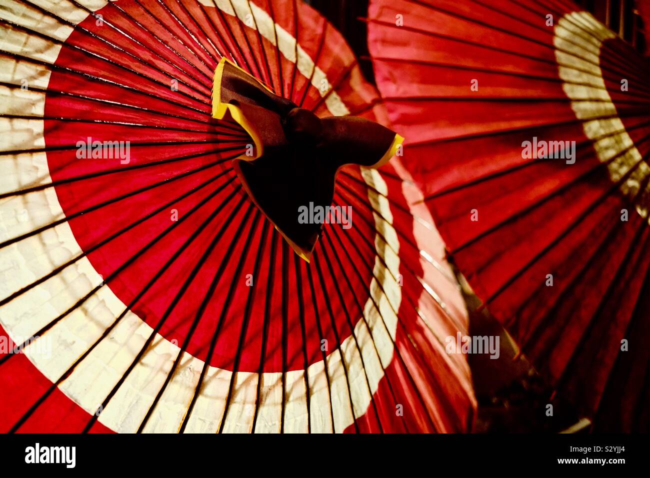Japanese paper parasols coloured red and white made of bamboo and paper ...