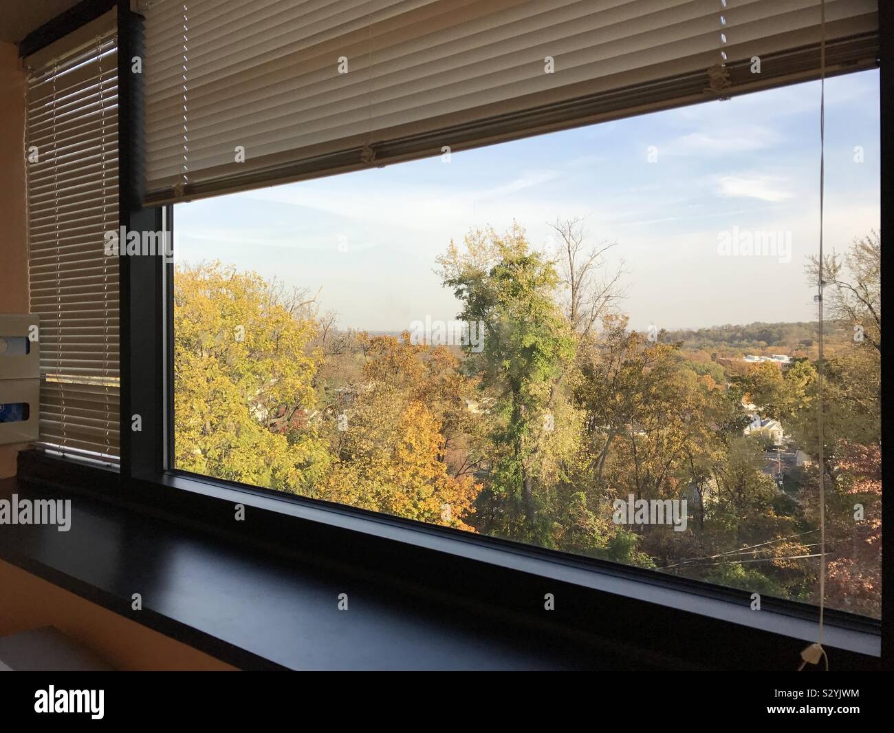 Fall color in New Jersey from office window Stock Photo - Alamy