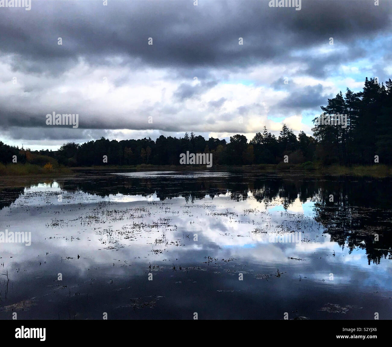 Lake surround by trees Stock Photo - Alamy