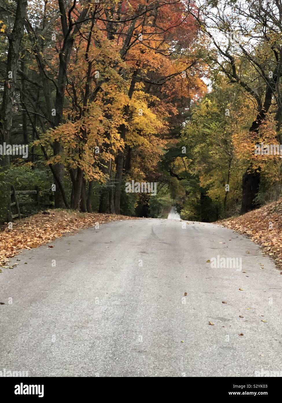 Country lane in fall hi-res stock photography and images - Alamy