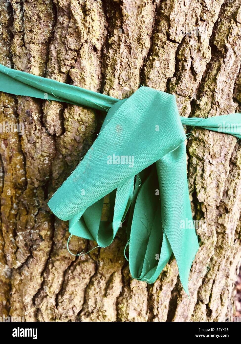 Campaign to save trees Stock Photo - Alamy