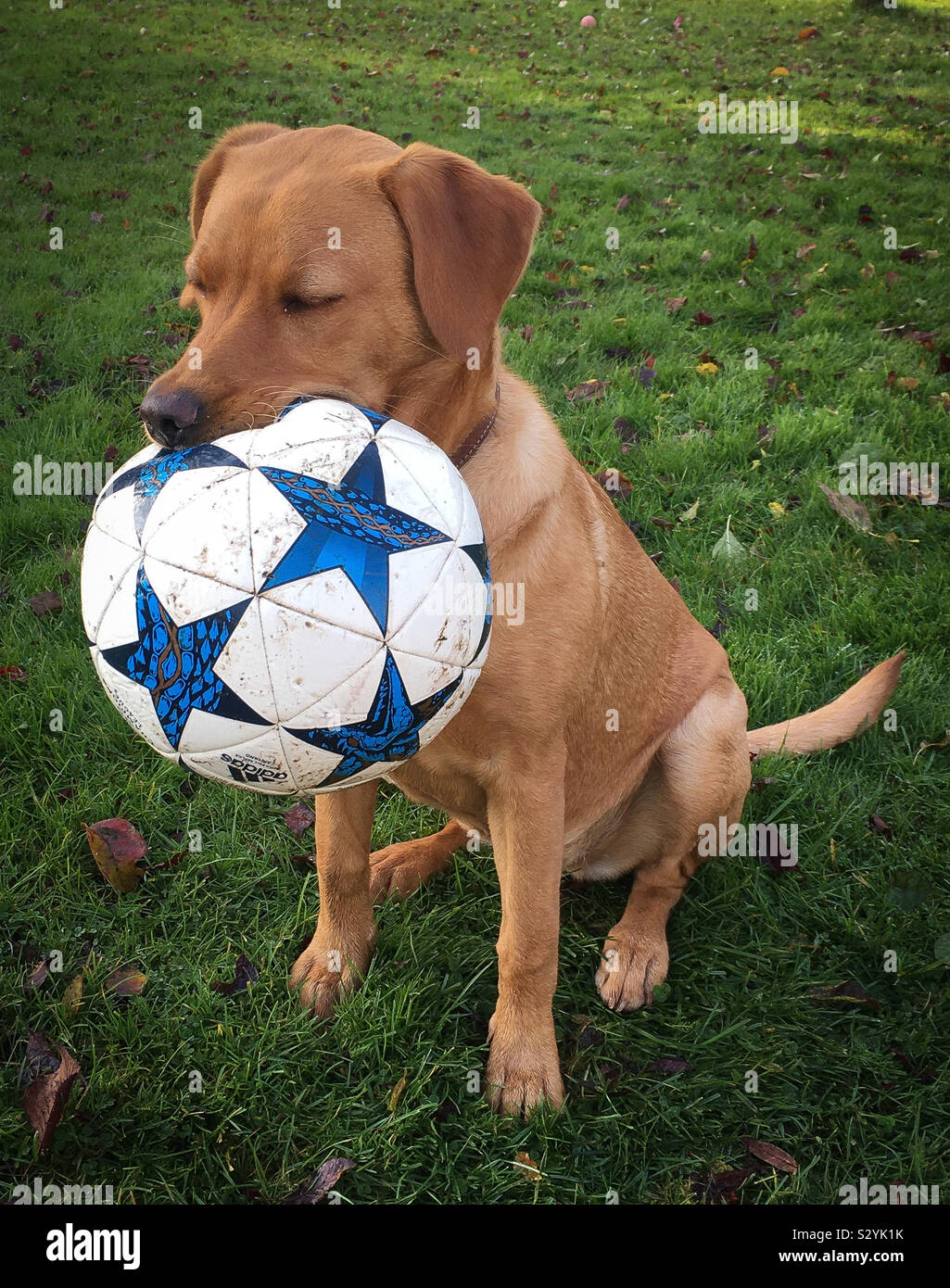 Footballing hi-res stock photography and images - Alamy