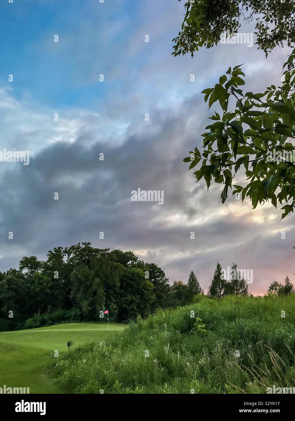 Loggers trail hi-res stock photography and images - Alamy