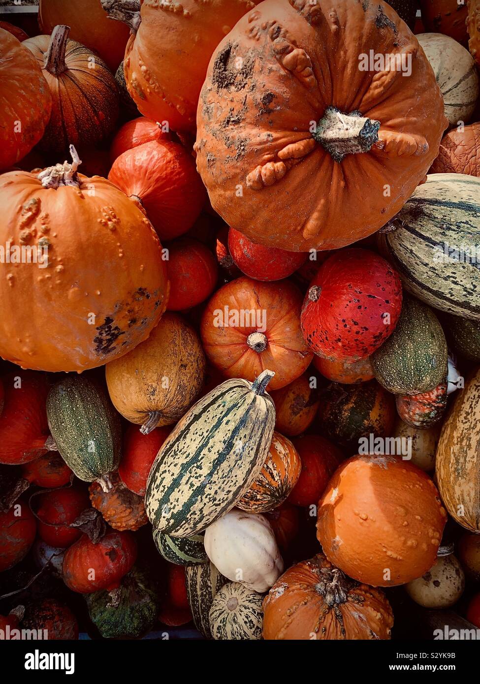 Picking selection hi-res stock photography and images - Alamy