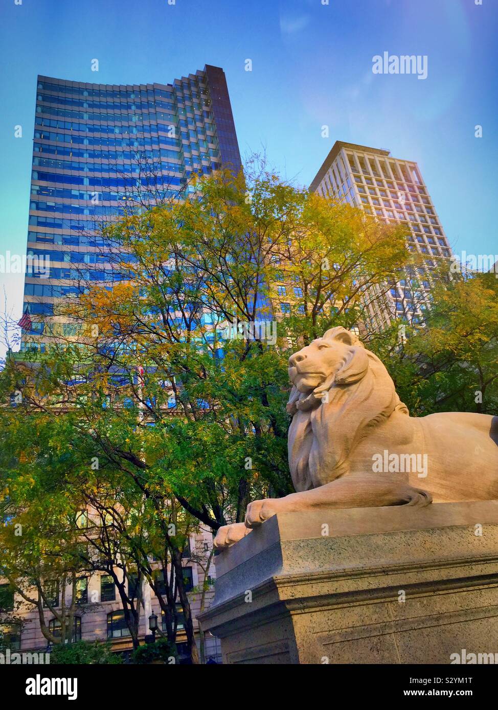 The lion statues in front of the New York City public library on fifth ... The lion statues in front of the New York City public library on fifth ...