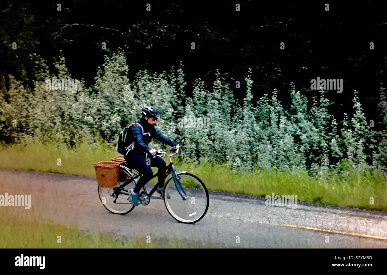 Visit Albert, Banff National Park, Alberta, Canada, Canadian Rockies ...