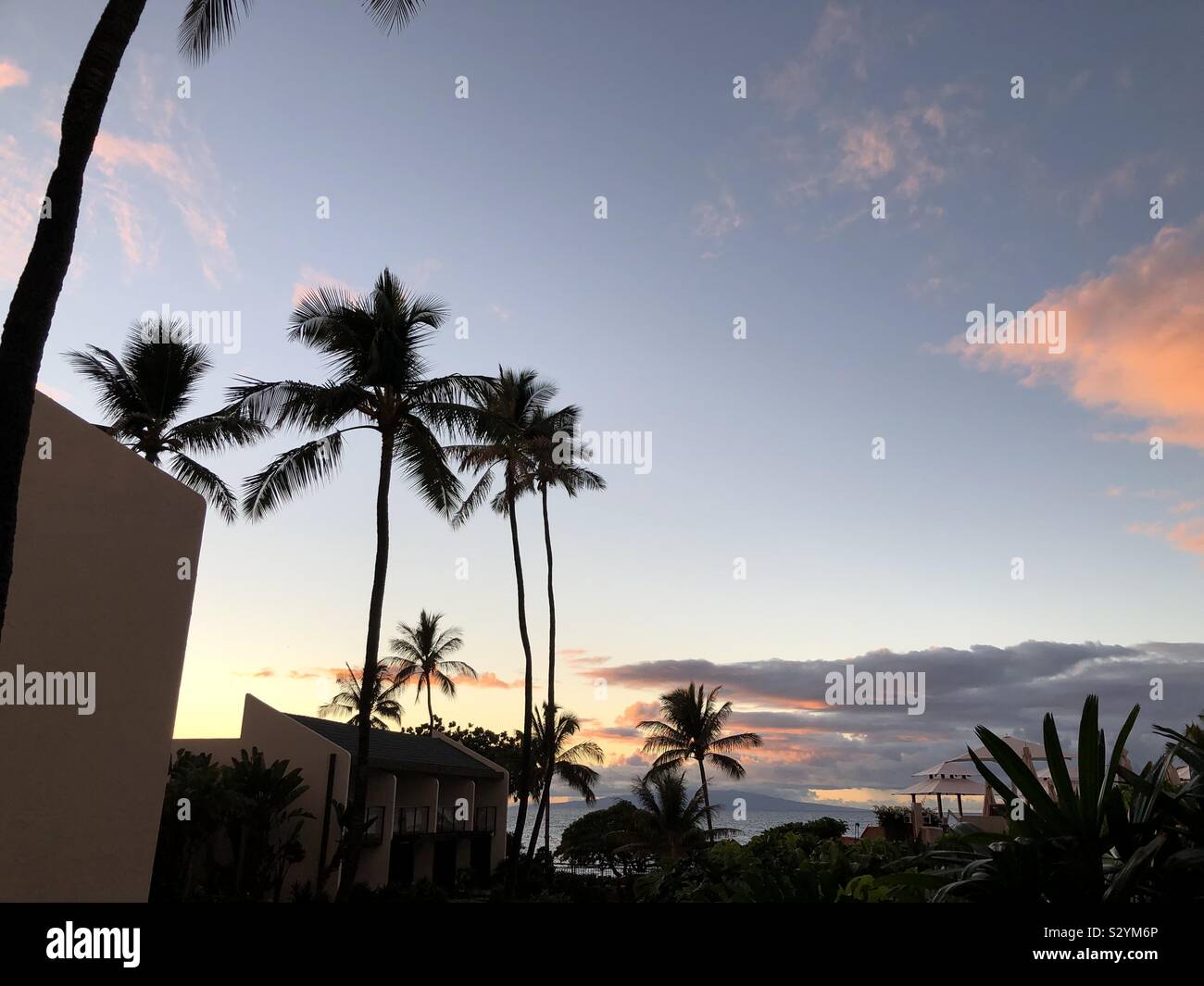 Maui sunset palm tree hi-res stock photography and images - Alamy