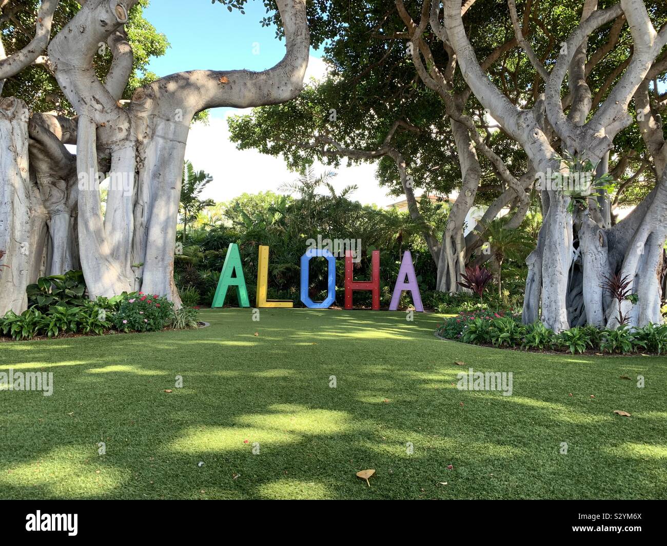 Aloha from hawaii hi-res stock photography and images - Alamy