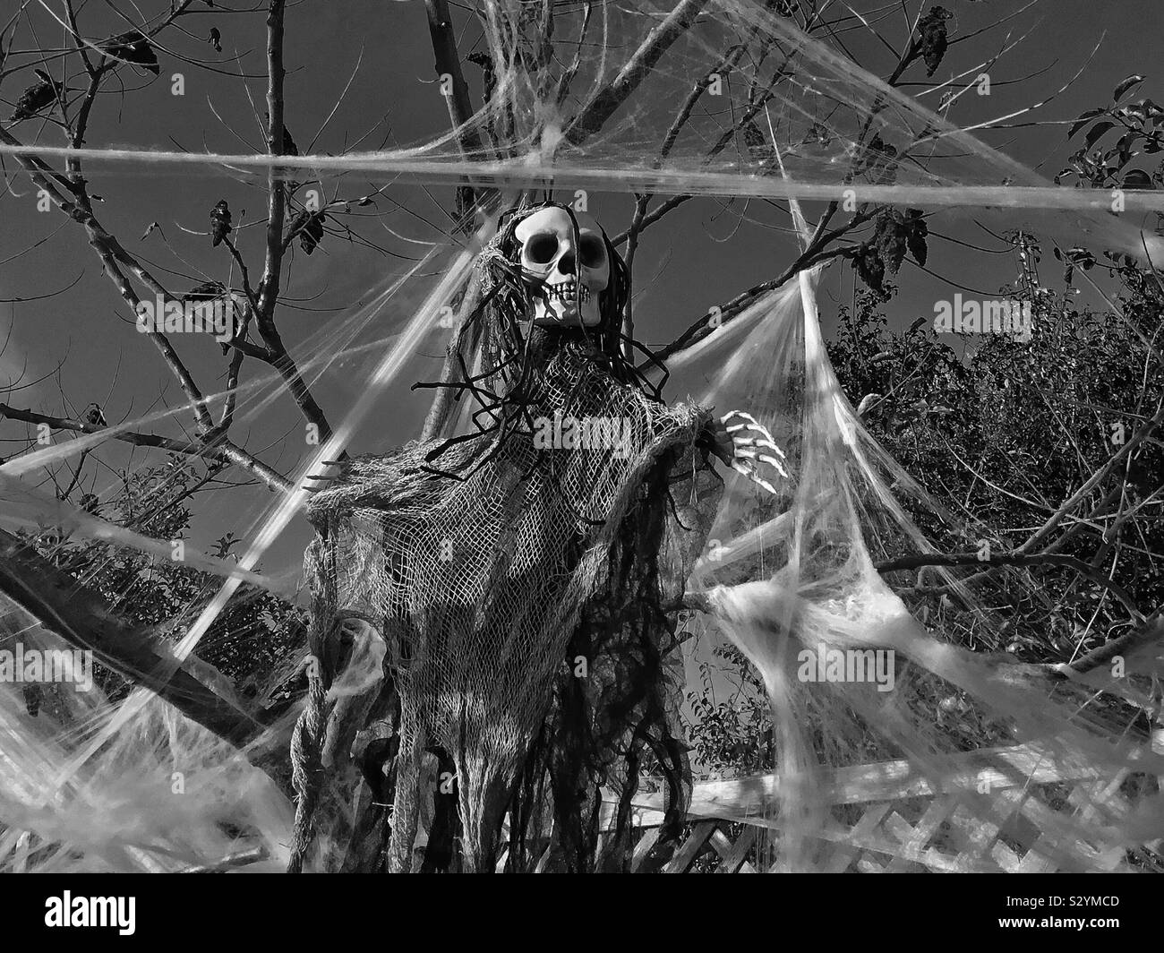 Death is always on our side or walks with us along the way Stock Photo ...