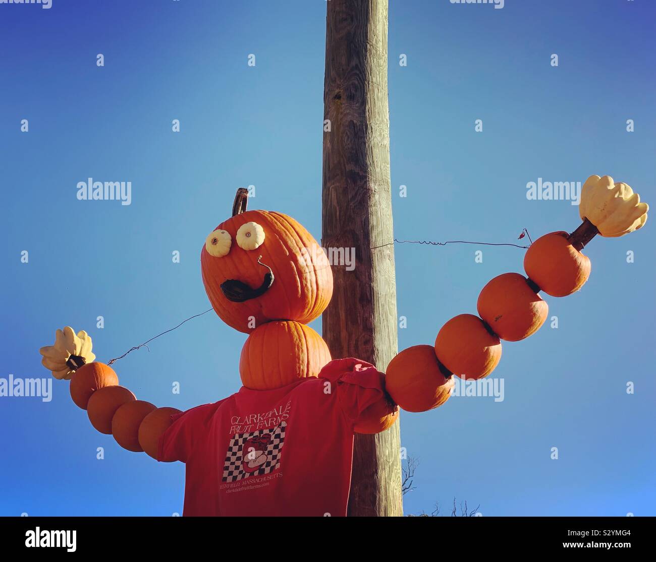 Pumpkin person, Clarkdale Fruit Farms, Deerfield, Massachusetts, United ...