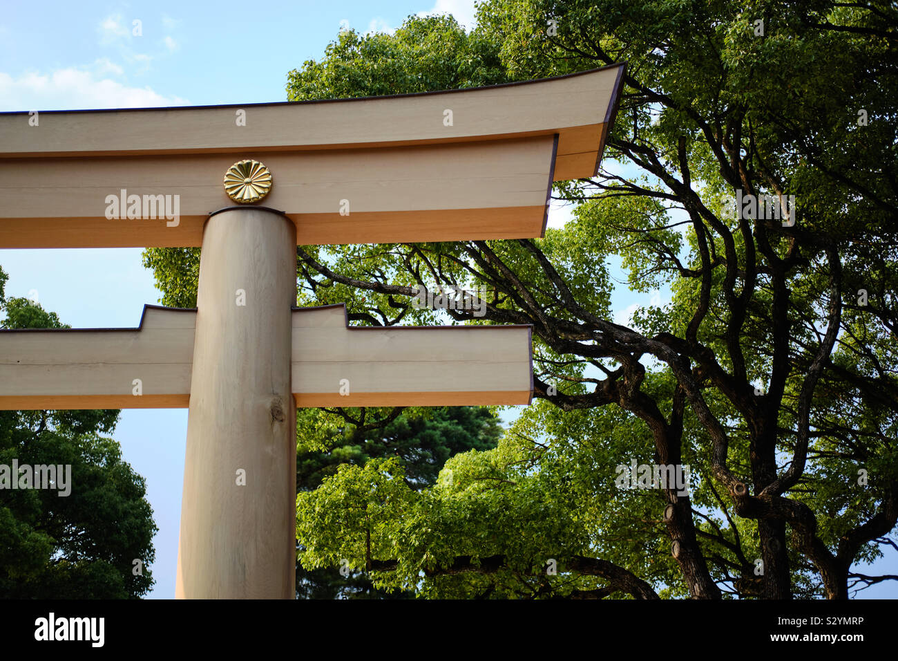 A large wooden Torii gate in front of tall trees in leaf Stock Photo ...