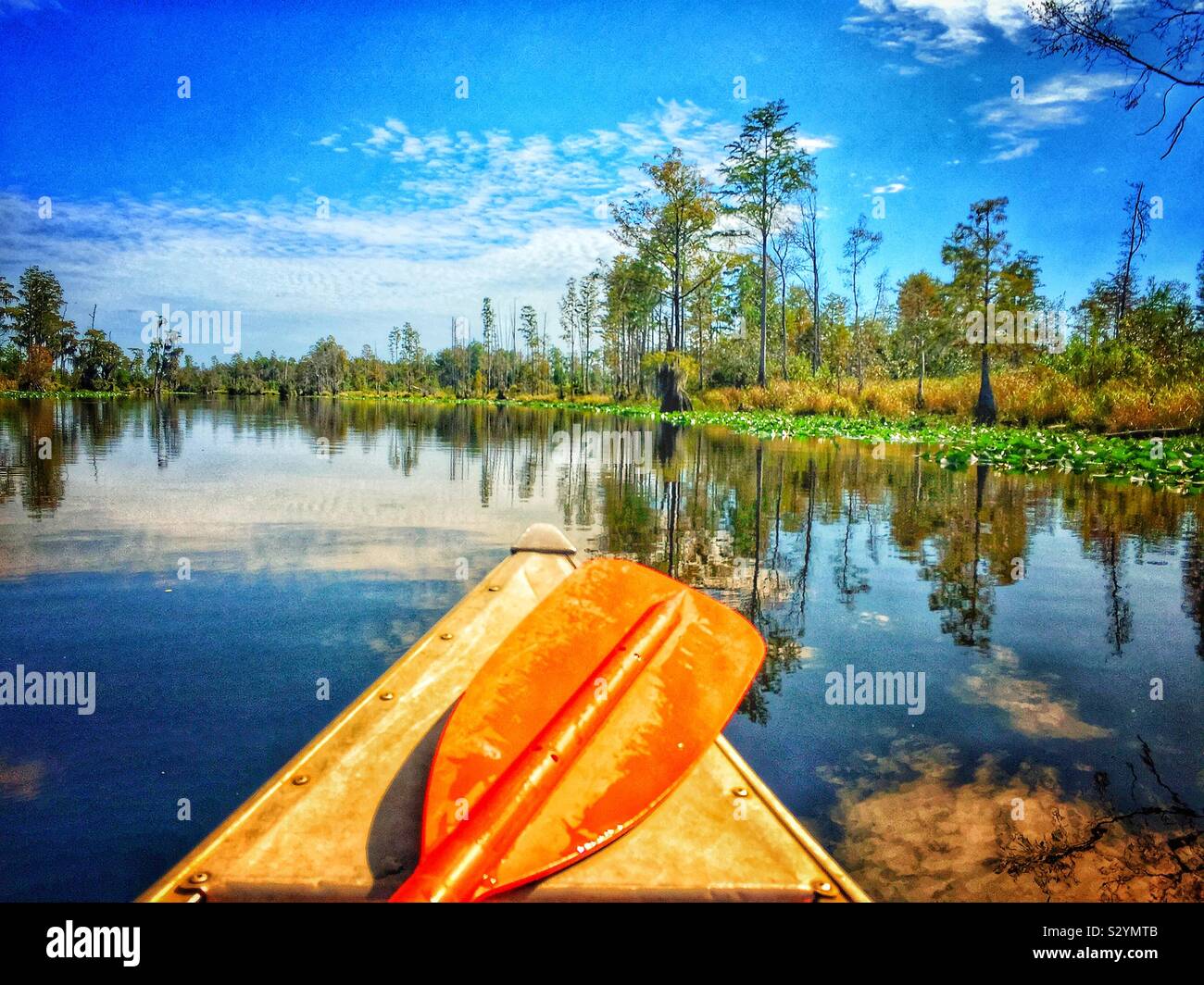 Canoeing the Okeefenokee Swamp Stock Photo - Alamy