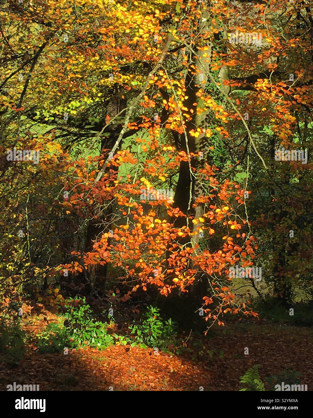 Colour colours color hi-res stock photography and images - Alamy