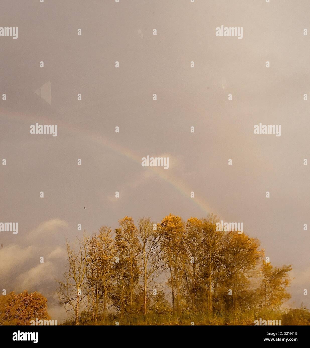 Tree and rainbow hi-res stock photography and images - Alamy