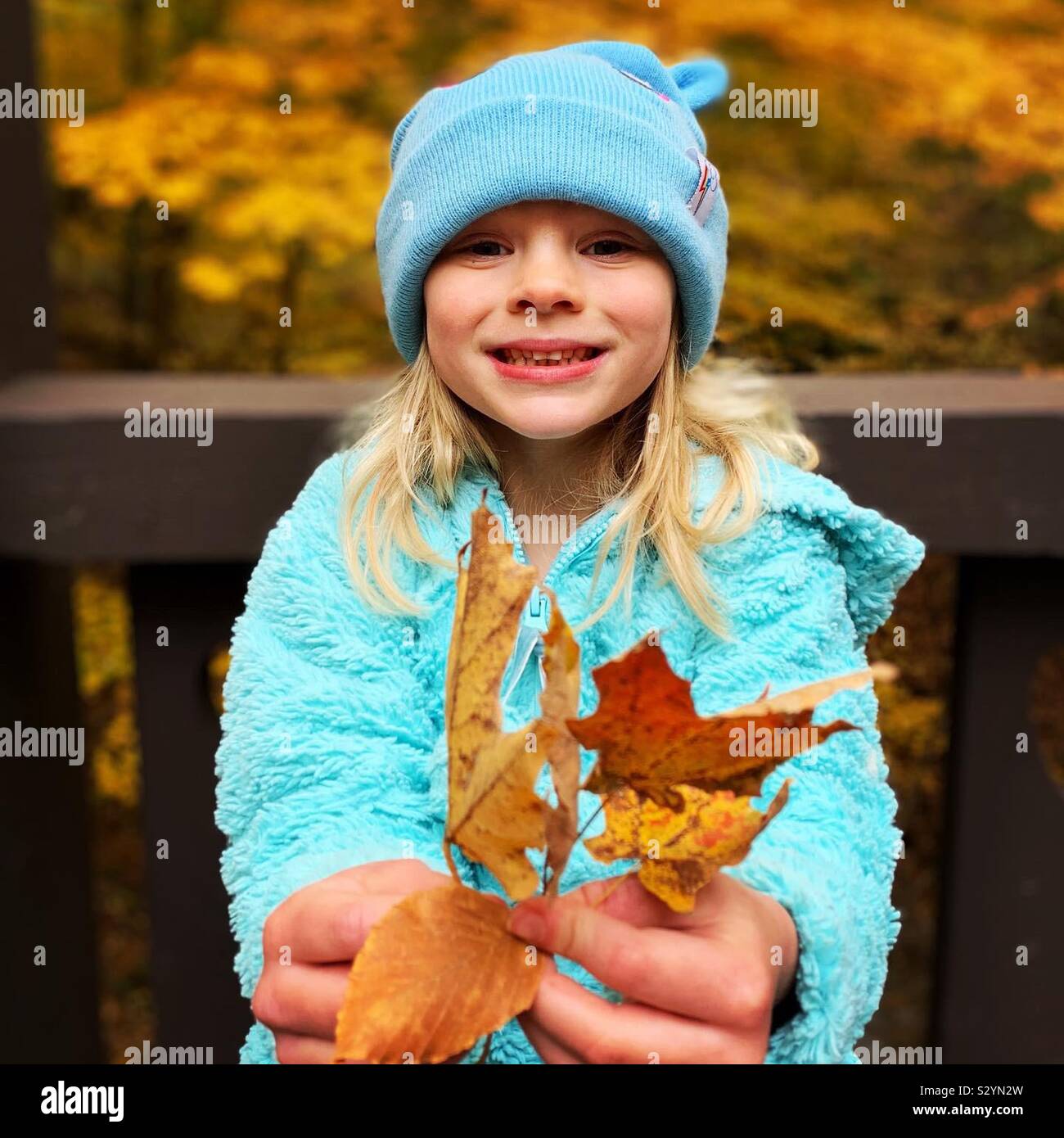 Girl in fuzzy coat holding fall colored leaves Stock Photo - Alamy