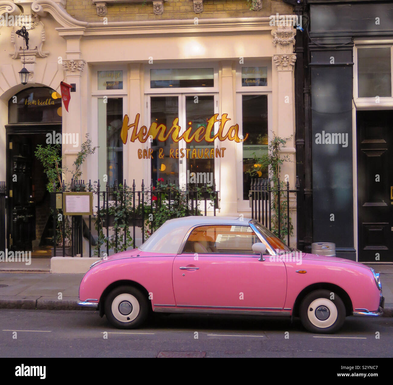 The Pink Figaro Stock Photo - Alamy