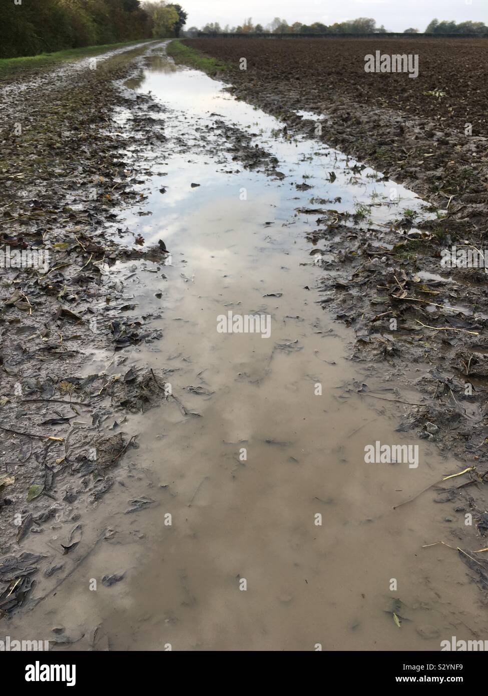 Muddy fun hi-res stock photography and images - Alamy