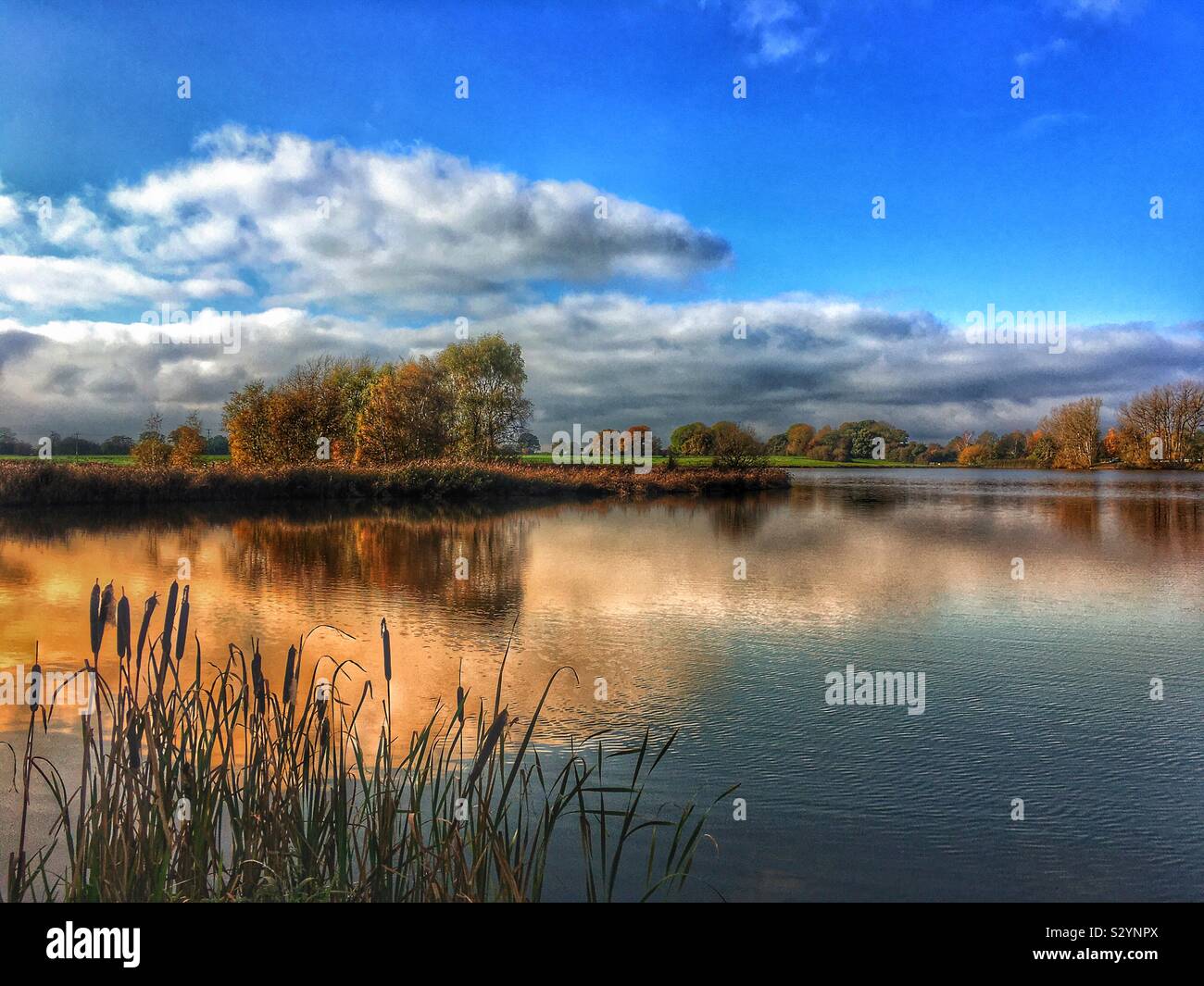 Pond in Cheshire Uk Stock Photo - Alamy