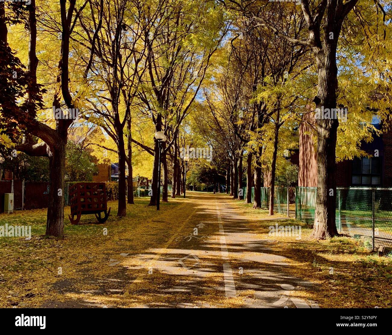 Pathway fall hi-res stock photography and images - Alamy