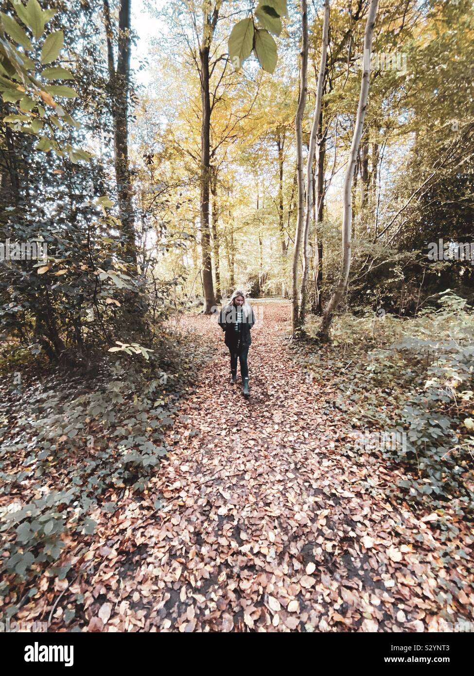 Wandering through the woods Stock Photo - Alamy