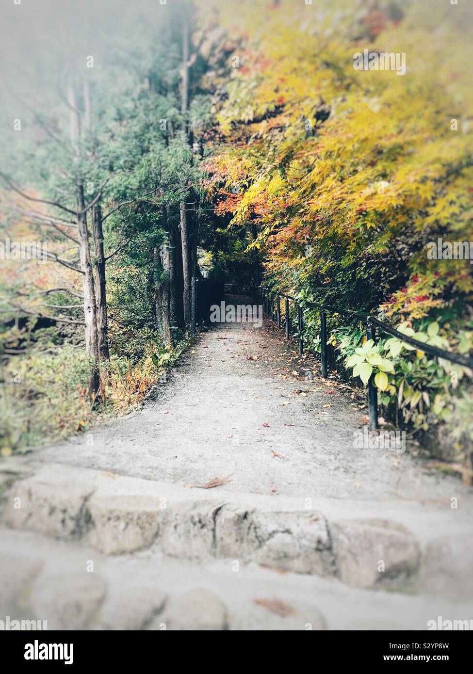 Walking path in Japan Stock Photo - Alamy