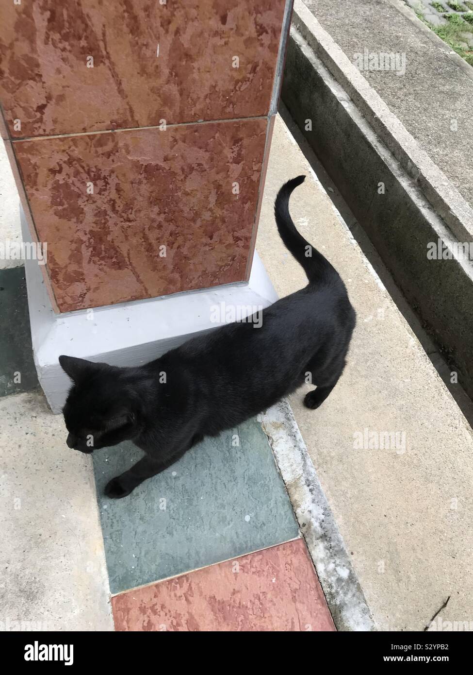 Animal pathway hi-res stock photography and images - Alamy