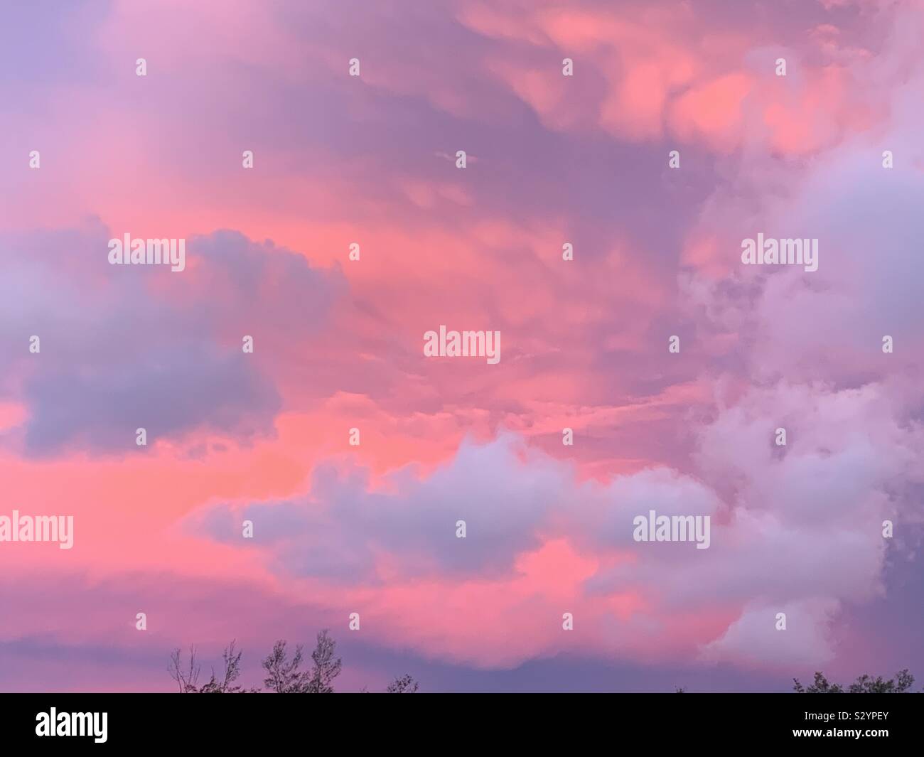 Pink sunset sky hi-res stock photography and images - Alamy
