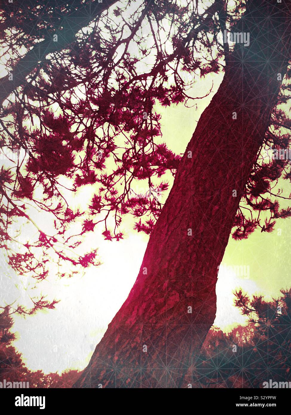 Lean angle hi-res stock photography and images - Alamy