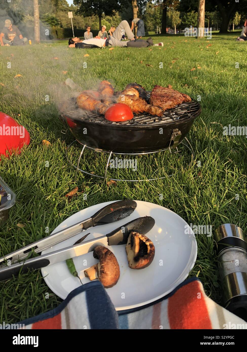Barbecue in the park in Scotland Stock Photo - Alamy