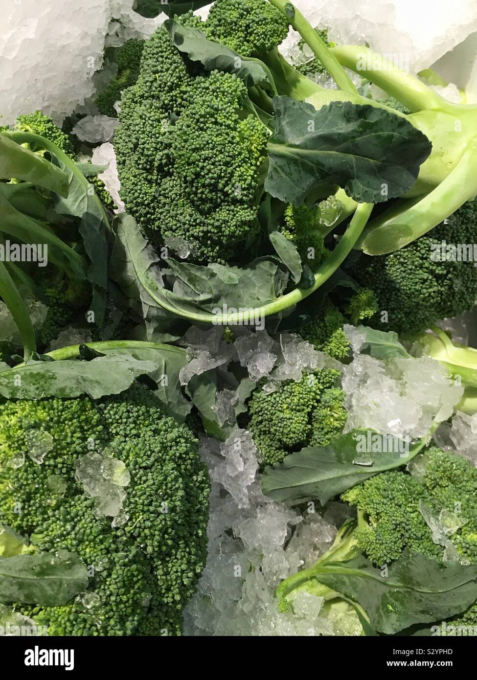 Chilled on ice hi-res stock photography and images - Alamy