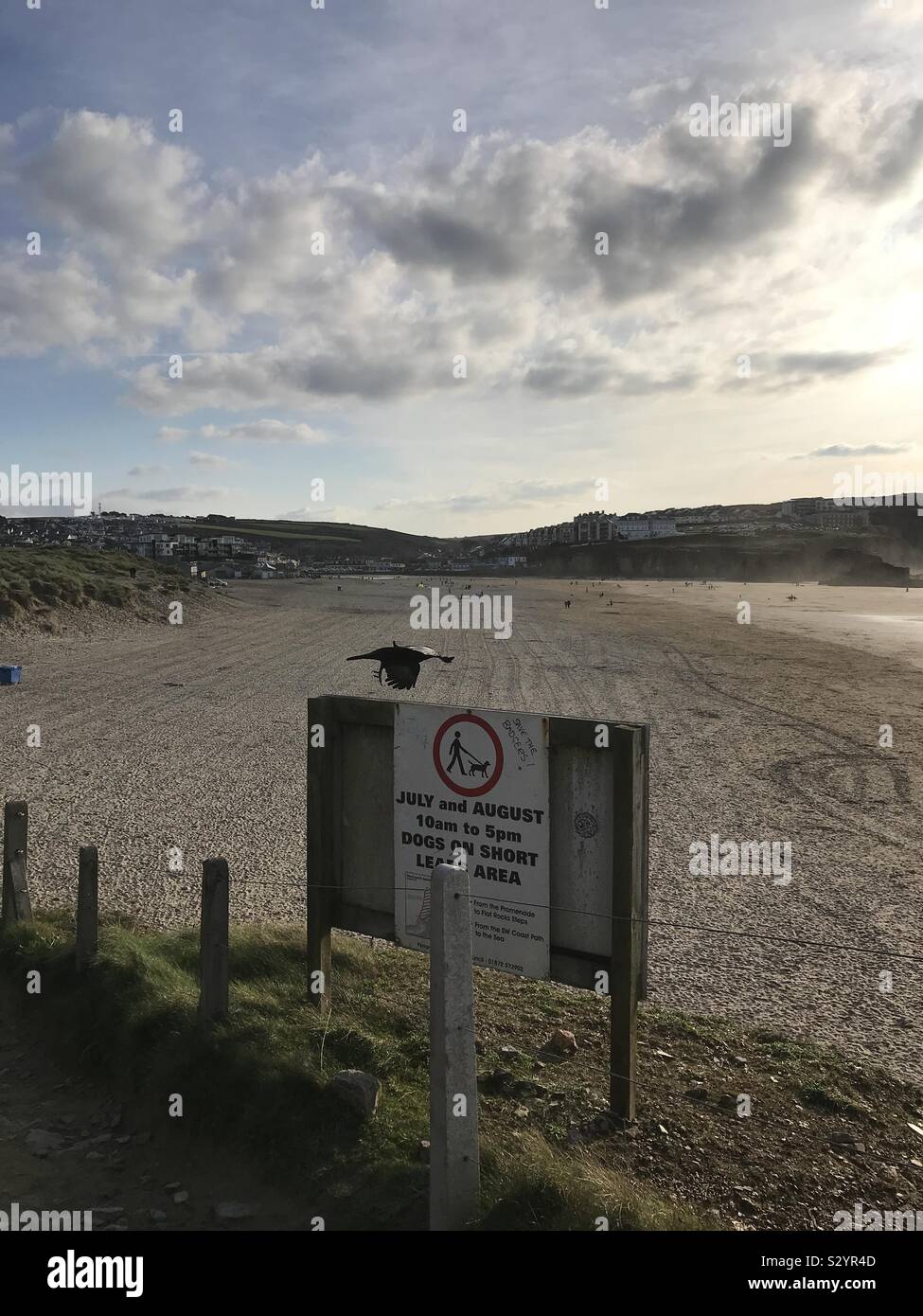 The fly of the crow hi-res stock photography and images - Alamy