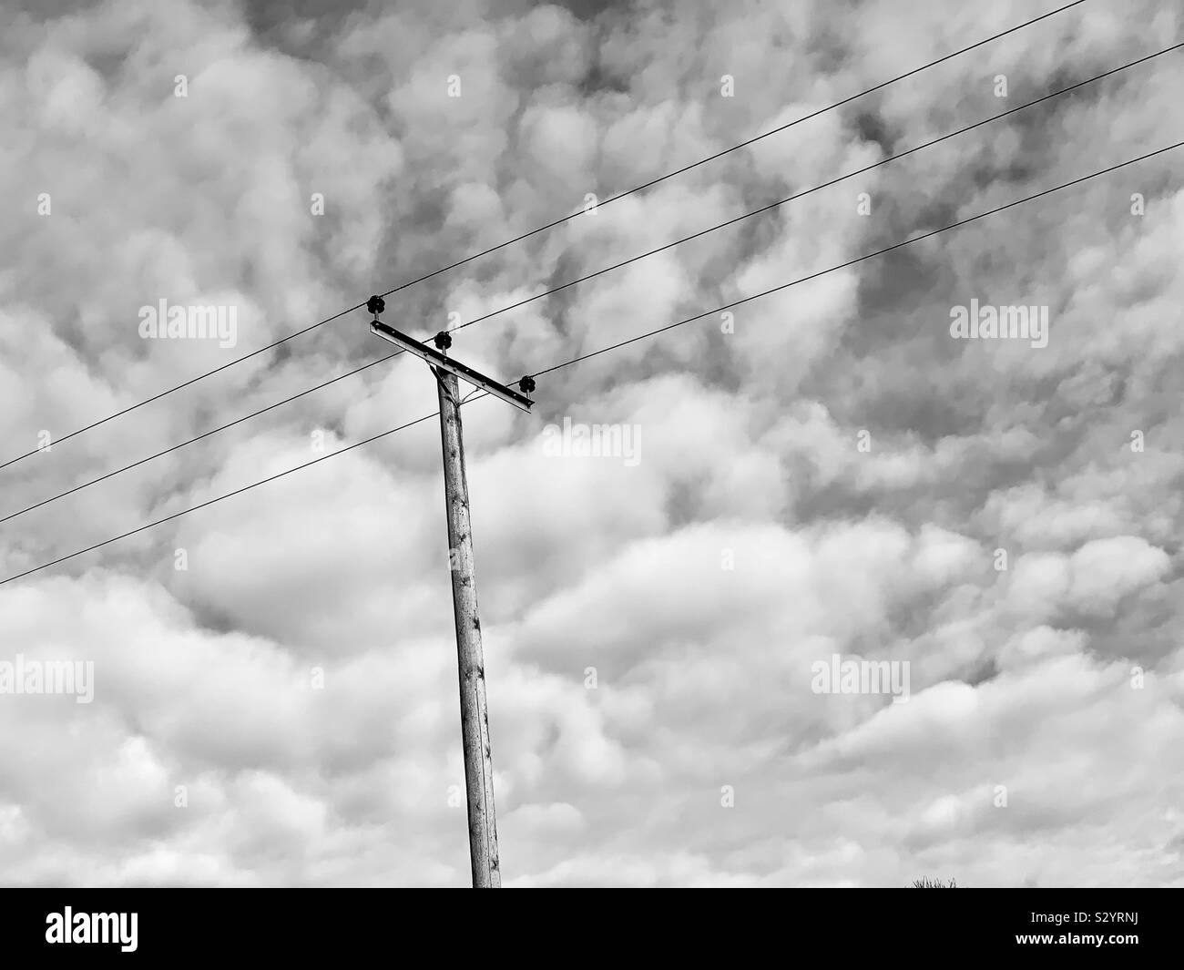 Looking up at power lines Stock Photo - Alamy