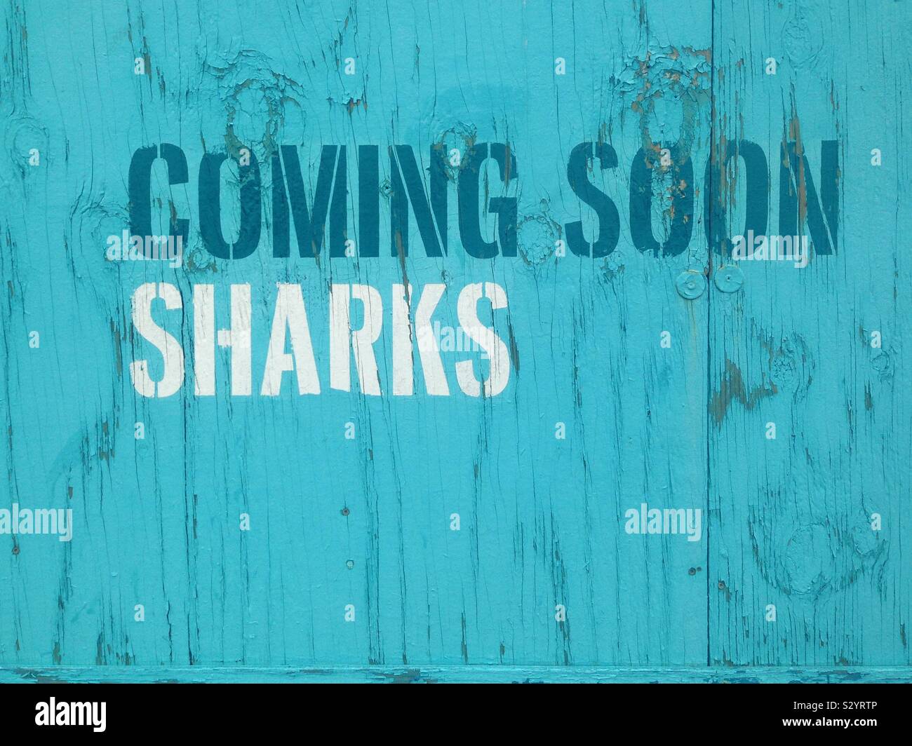 Coming soon sharks hi-res stock photography and images - Alamy