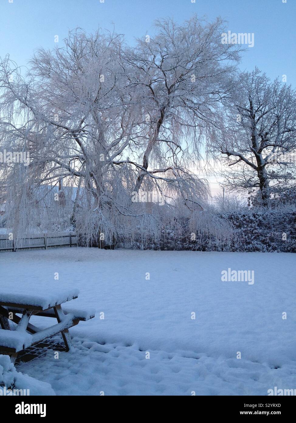 Undisturbed snow hi-res stock photography and images - Alamy