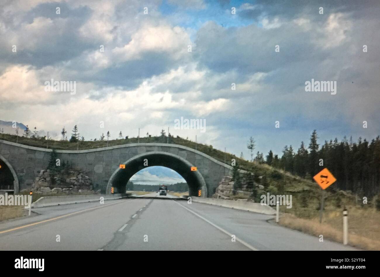Wildlife overpass, Banff National Park, Alberta, Canada, on the ...