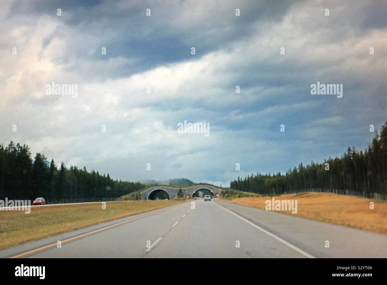 Wildlife overpass, Banff National Park, Alberta, Canada, on the ...