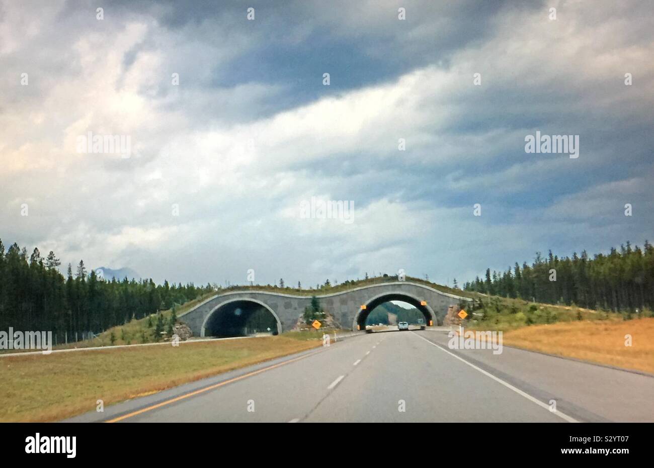 Wildlife overpass, Banff National Park, Alberta, Canada, on the ...