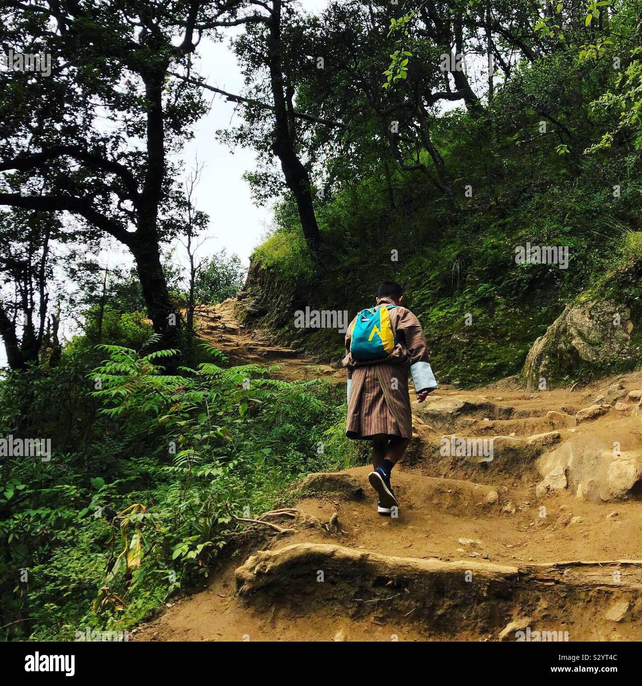 Following the trail up the mountain through forested area Stock Photo ...