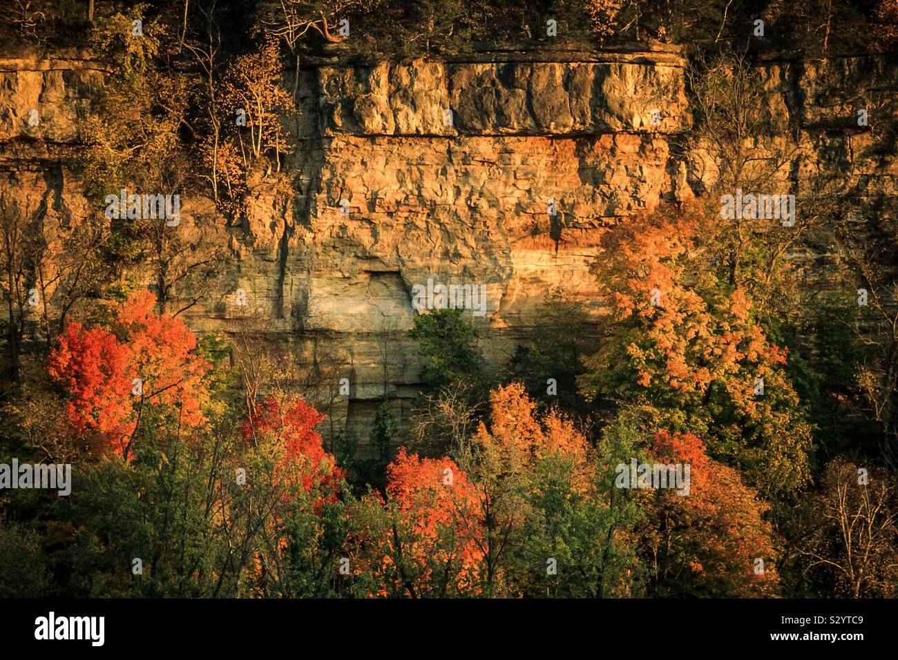 St. Croix River bluff in autumn Stock Photo - Alamy