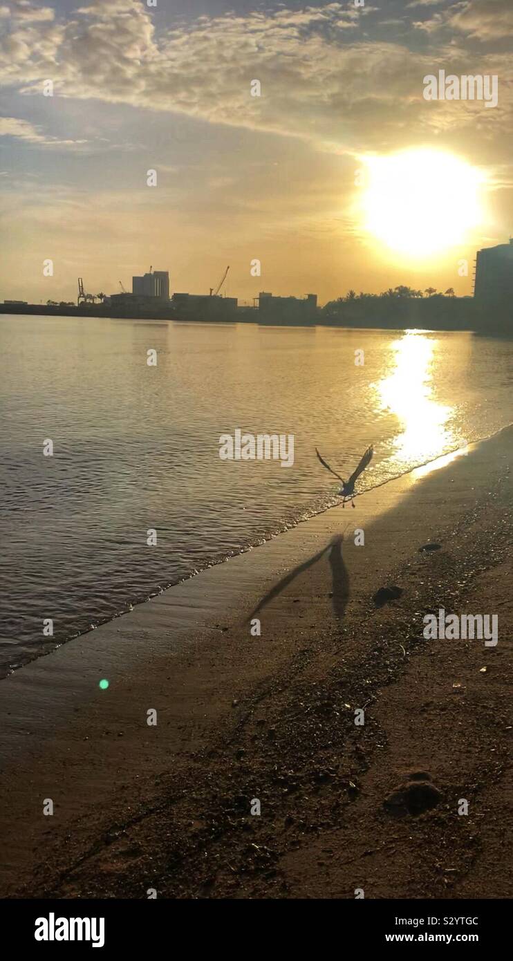 Early morning beach walk Stock Photo - Alamy