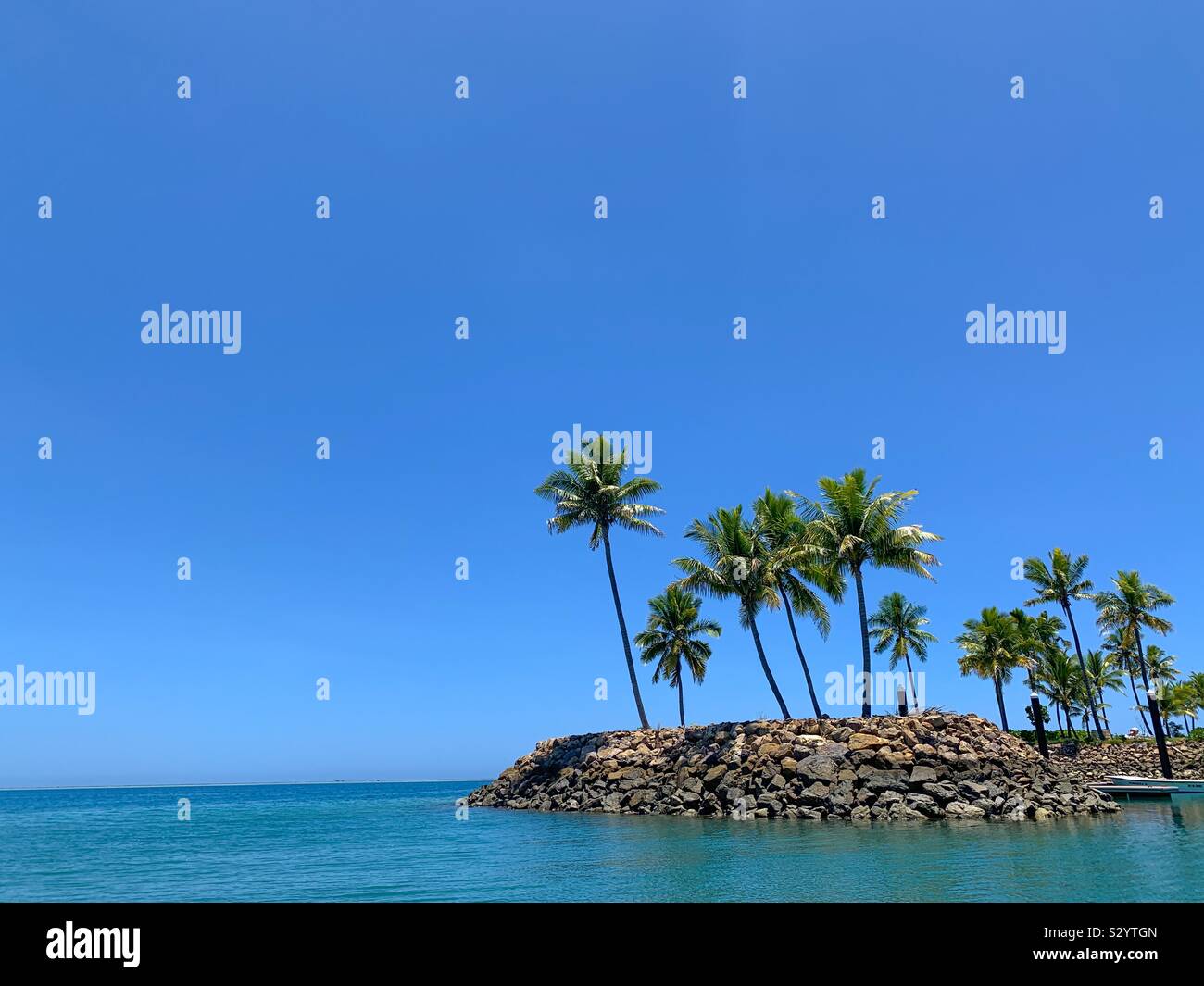 Stunning beach views with coconut trees Stock Photo - Alamy