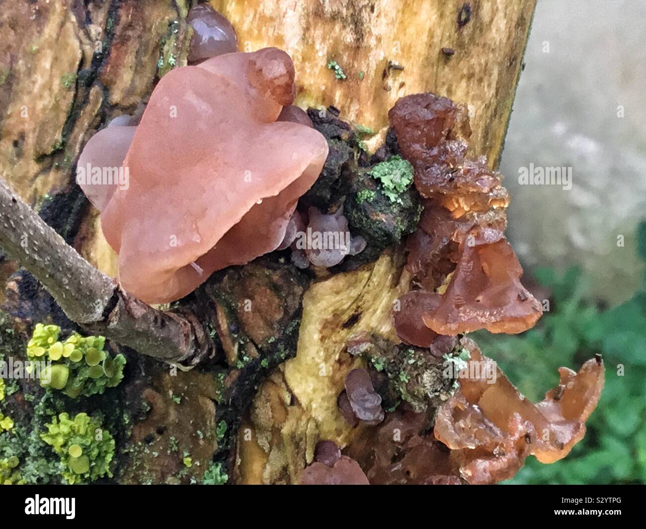 Birth of energy hi-res stock photography and images - Alamy