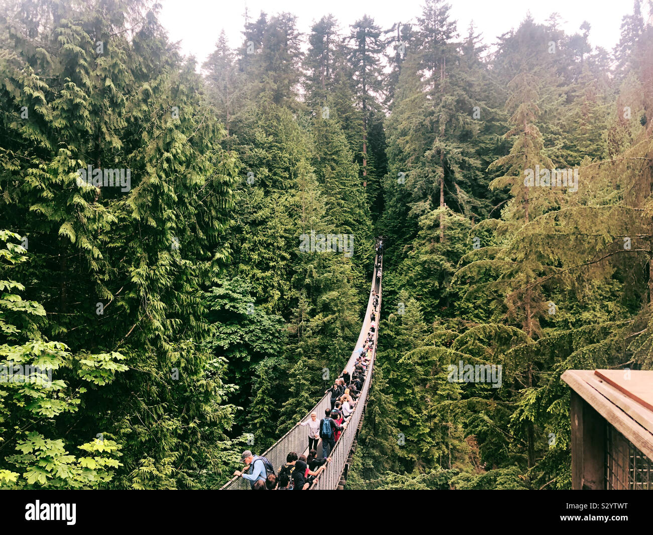 Capilano suspension bridge hi-res stock photography and images - Alamy