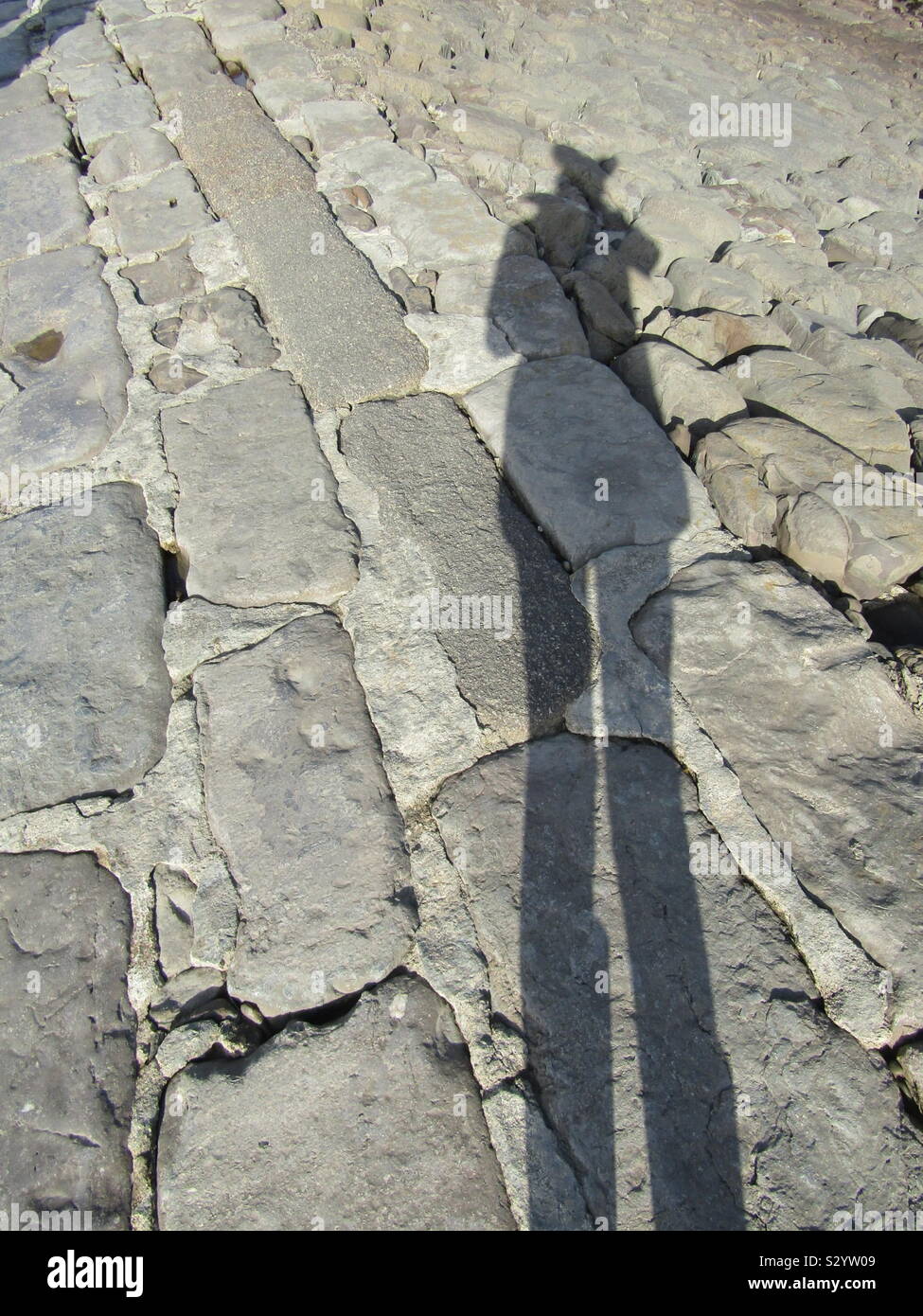 Shadow selfie hi-res stock photography and images - Alamy